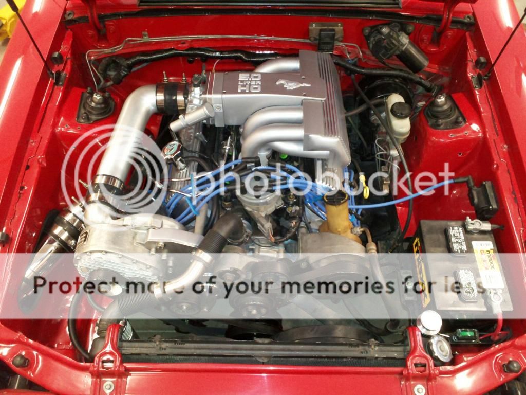 Please post your blown engine bays | Page 48 | Ford Mustang Forums