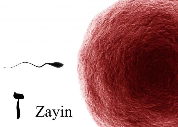 GEMATRIA IBRANI: SIGNIFIKANSI ANGKA-ANGKA DALAM ALKITAB - SarapanPagi ...