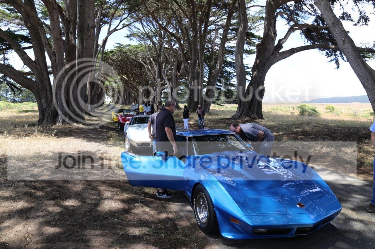 California Stingrays Cruise/GTG with Our Swiss Members Kate and Martin ...