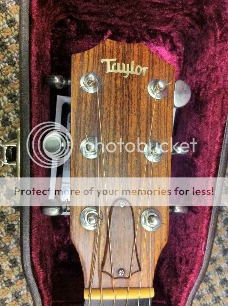 1991 Taylor 512 What to do.... - The Acoustic Guitar Forum